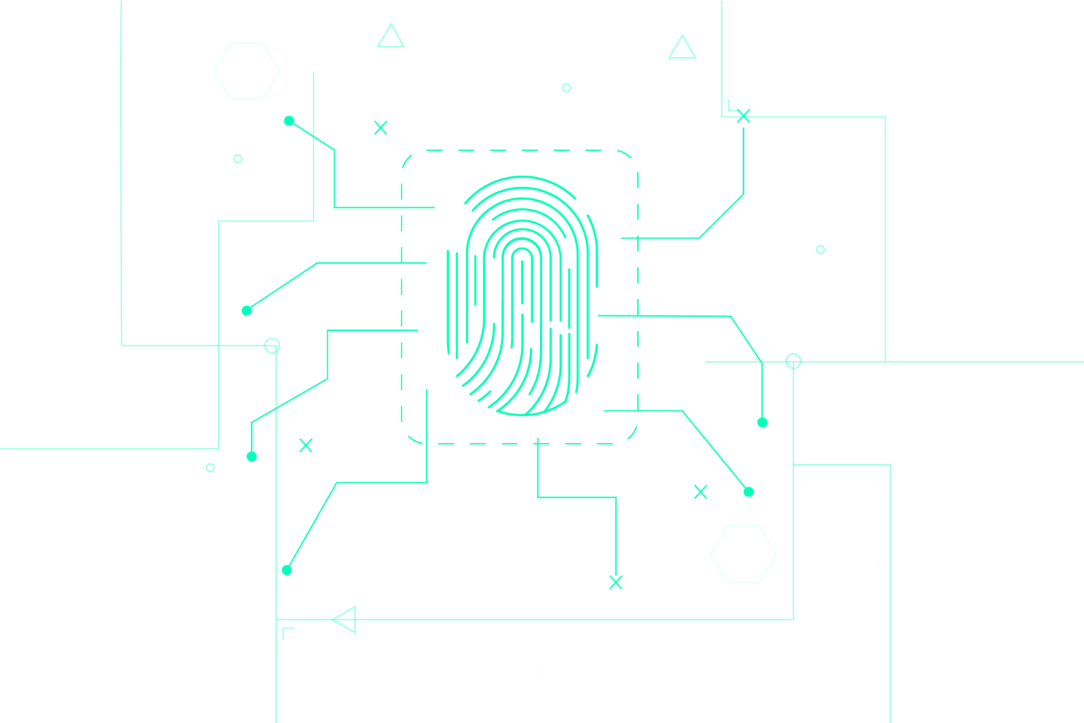 Domineum – Blockchain Solutions